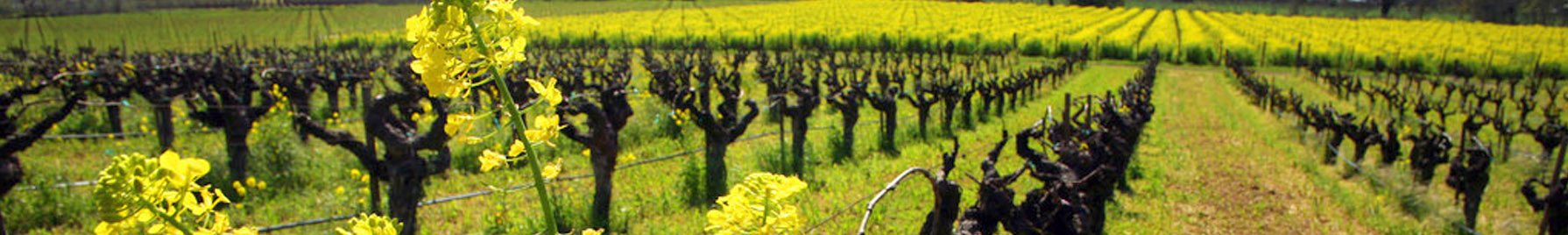 Rates - Unincorp - Recology Sonoma Marin